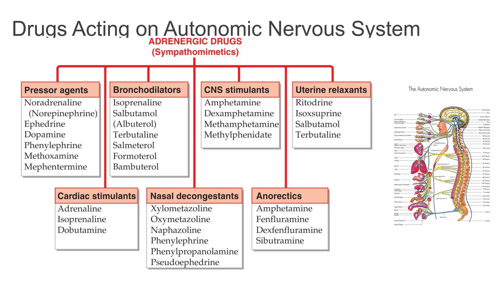 Pharmacological Classification Of Drugs | PPTX