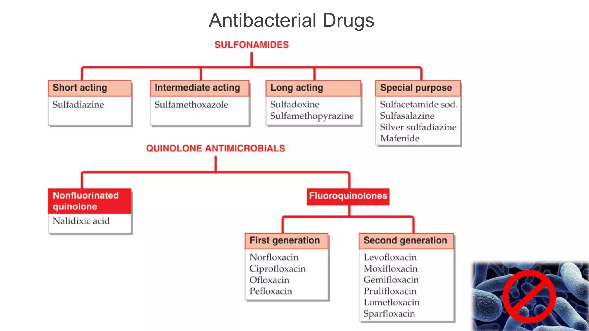 Pharmacological Classification Of Drugs | PPTX