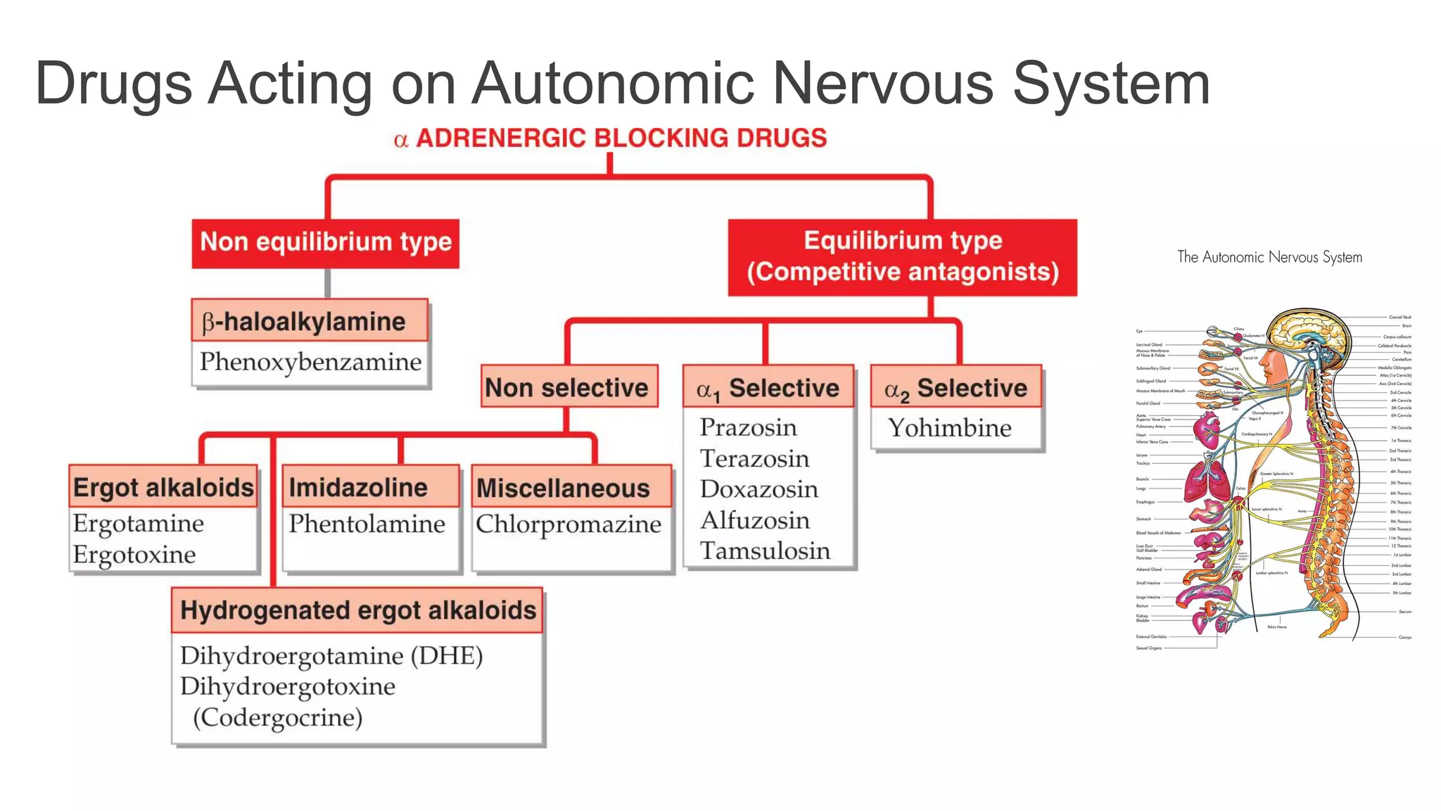 Pharmacological Classification Of Drugs | PPTX