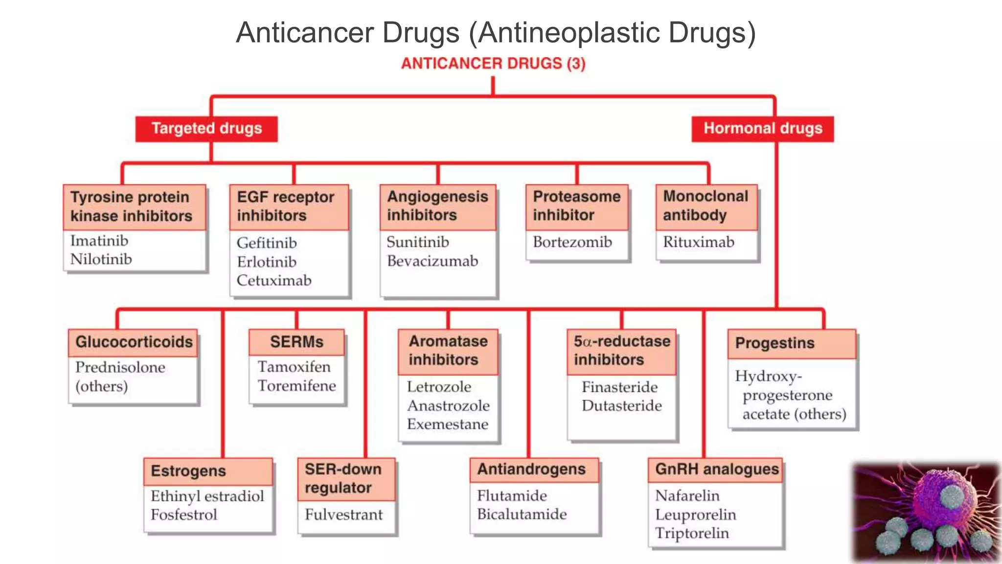 Pharmacological Classification Of Drugs | PPTX