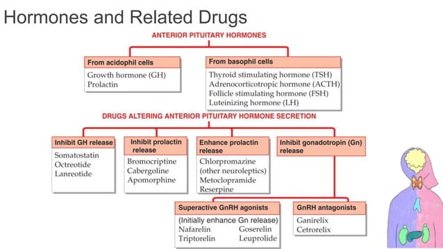 Pharmacological Classification Of Drugs | PPTX
