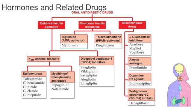 Pharmacological Classification Of Drugs | PPTX