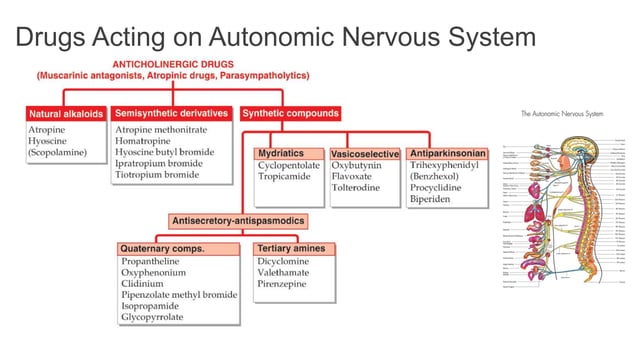 Pharmacological Classification Of Drugs | PPTX