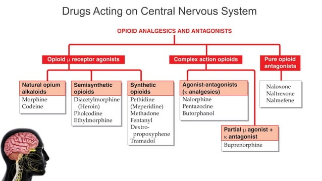 Pharmacological Classification Of Drugs | PPTX