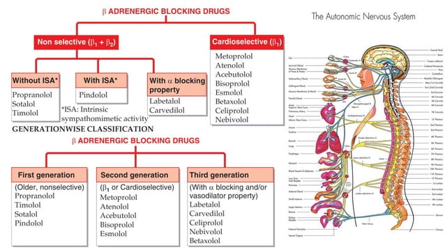 Pharmacological Classification Of Drugs | PPTX
