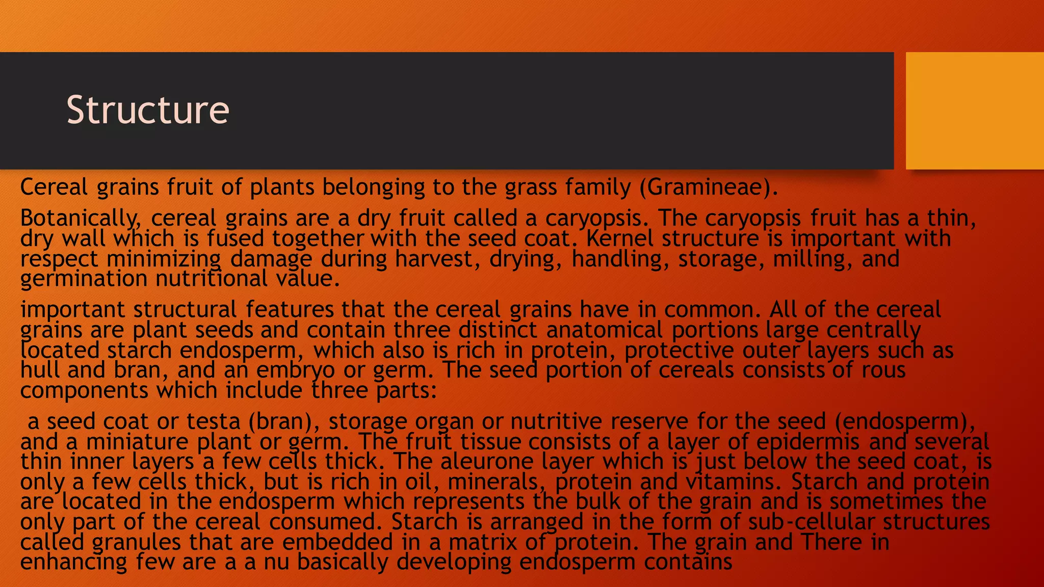 Cereal plant | PDF