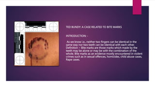 Ted Bundy Evidence List