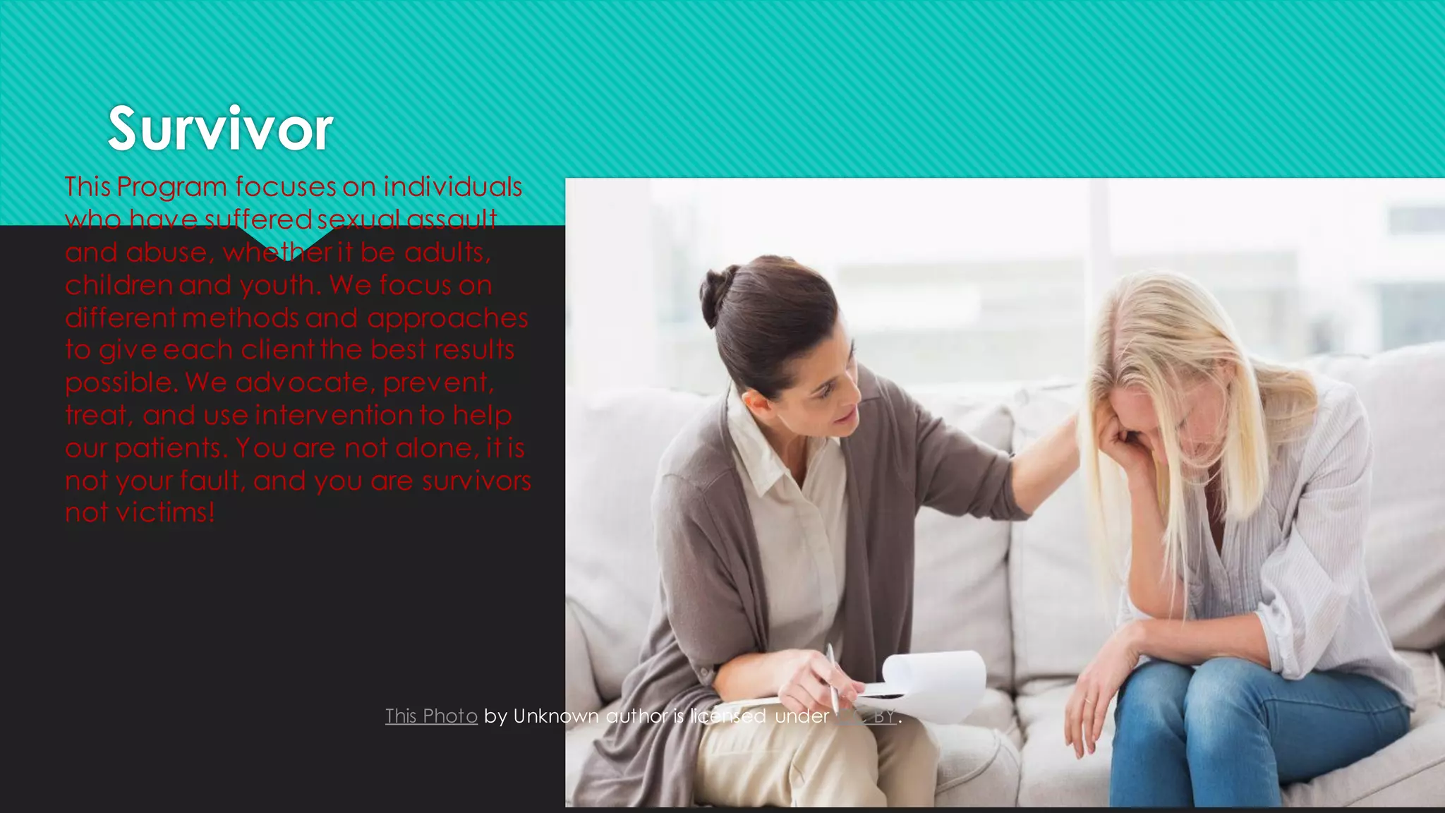 Program Development | PPT