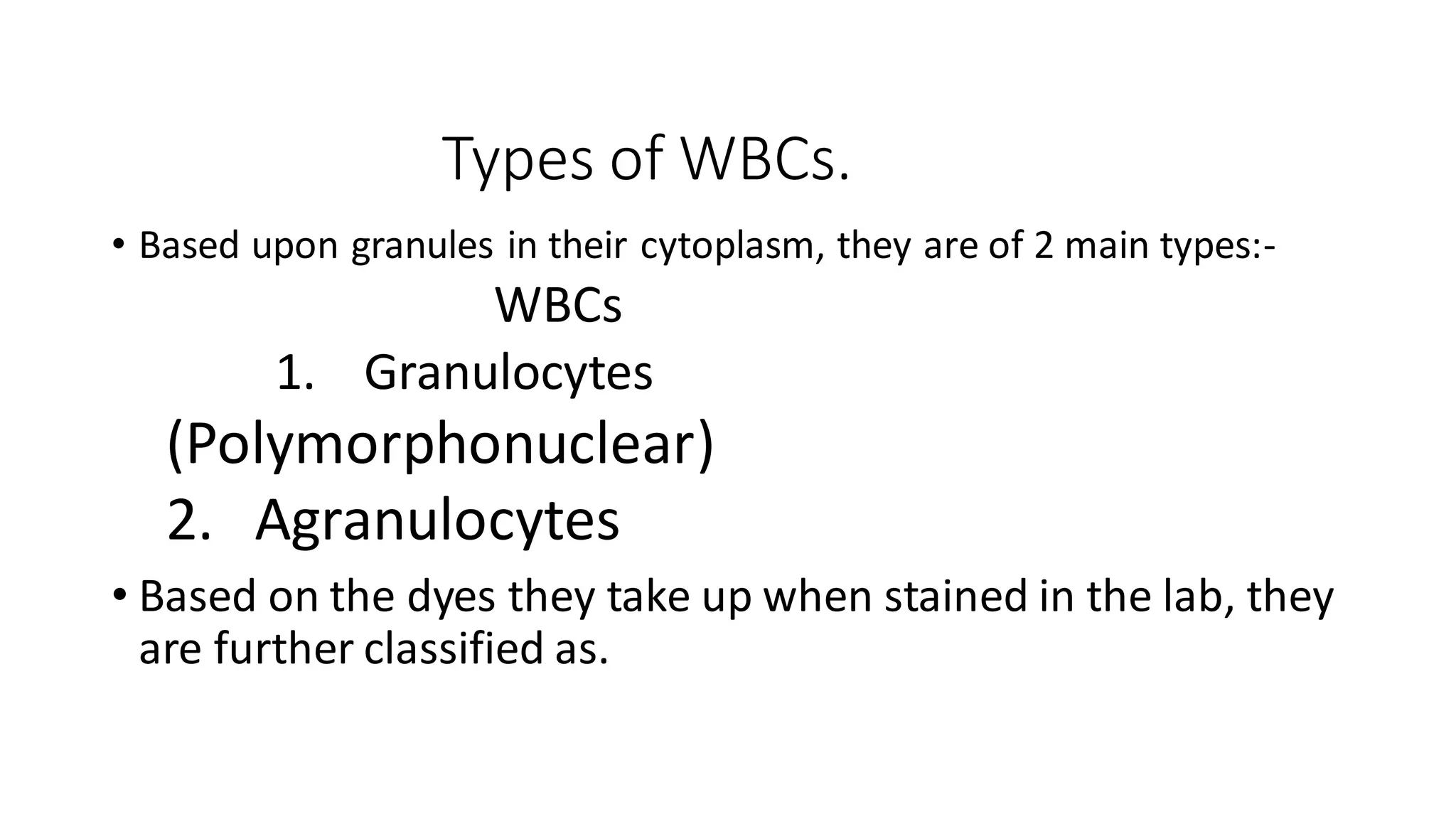 Presentation (5).pdf