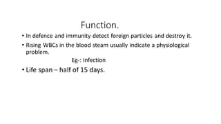 Presentation (5).pdf