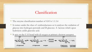 Glucose oxidase enzyme applications in immobilization | PPTX
