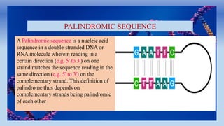 science technology and information on earth | PPT
