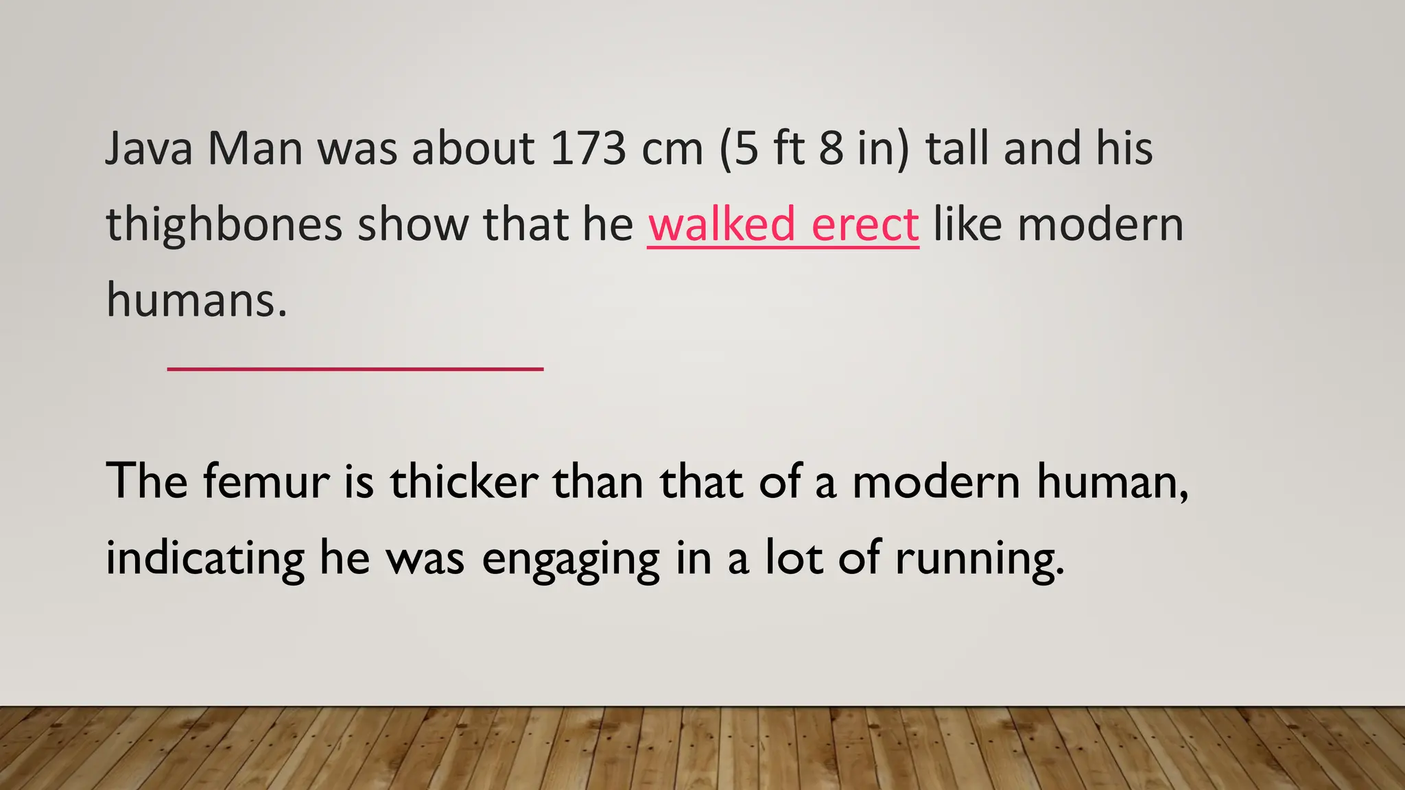 Presentation (5).pdf HOMO ERECTUS JAVANENSIS | PPT