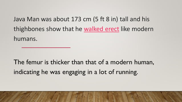 Presentation (5).pdf HOMO ERECTUS JAVANENSIS | PPT