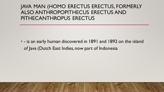 Presentation (5).pdf HOMO ERECTUS JAVANENSIS | PPT