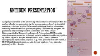 Antigen process and presentation and then MHC Molecules and functions | PPTX