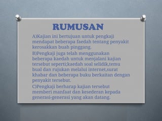 kaedah moden yang digunakan untuk merawat masalak kerosakan buah ...