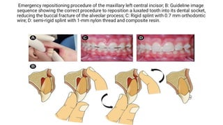 Presentation 5 - Copy - Copy.pdfvvvvvvvcddd | PPT