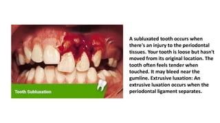 Presentation 5 - Copy - Copy.pdfvvvvvvvcddd | PPT