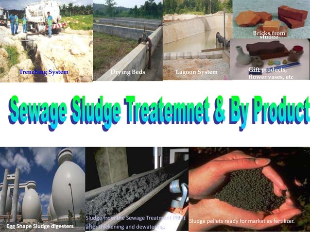 Presentation 5- Sludge Treatment.pptx