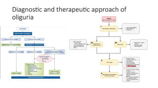 Interpretation of Oliguria in critically ill patients | PPTX