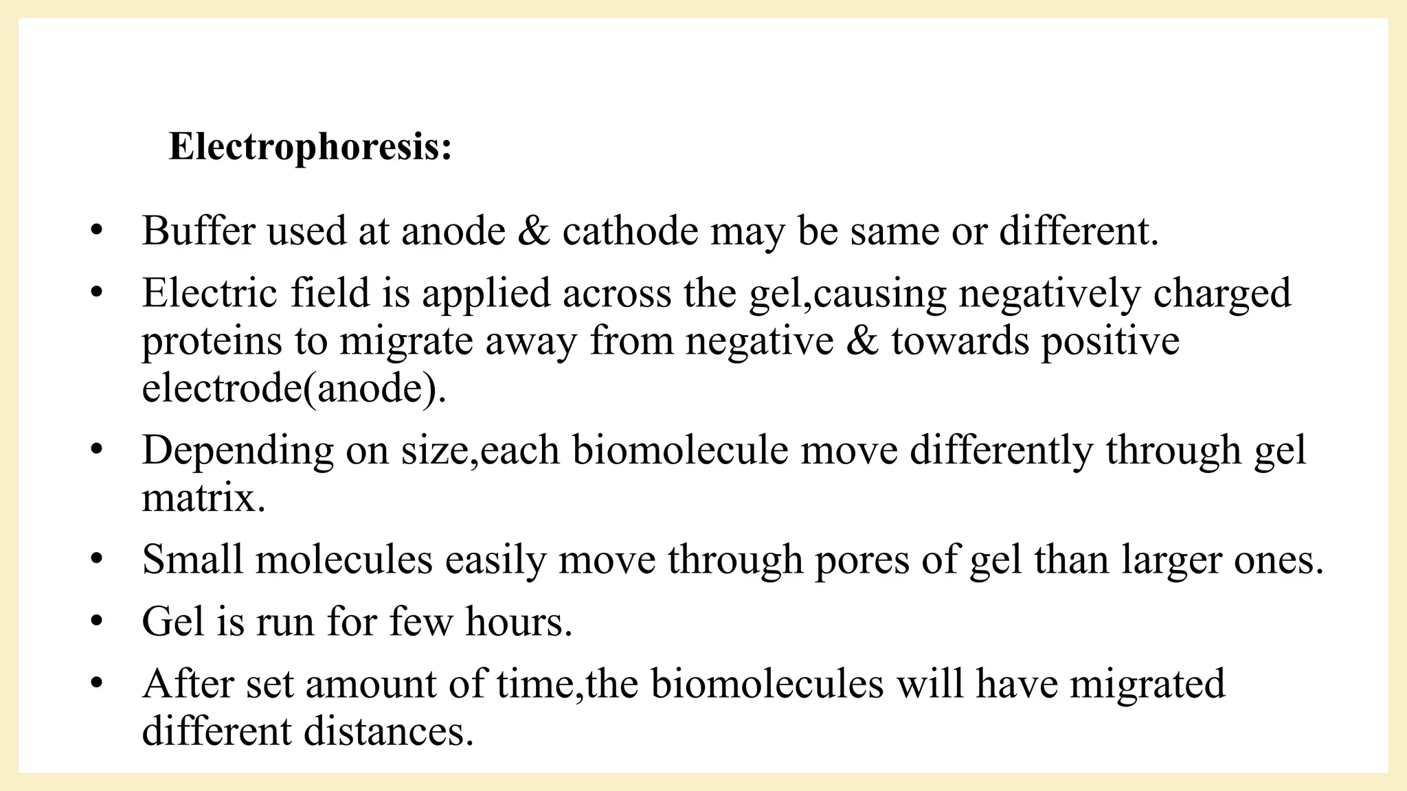 Isoelectric Focusing.pptx | Chemistry | Science