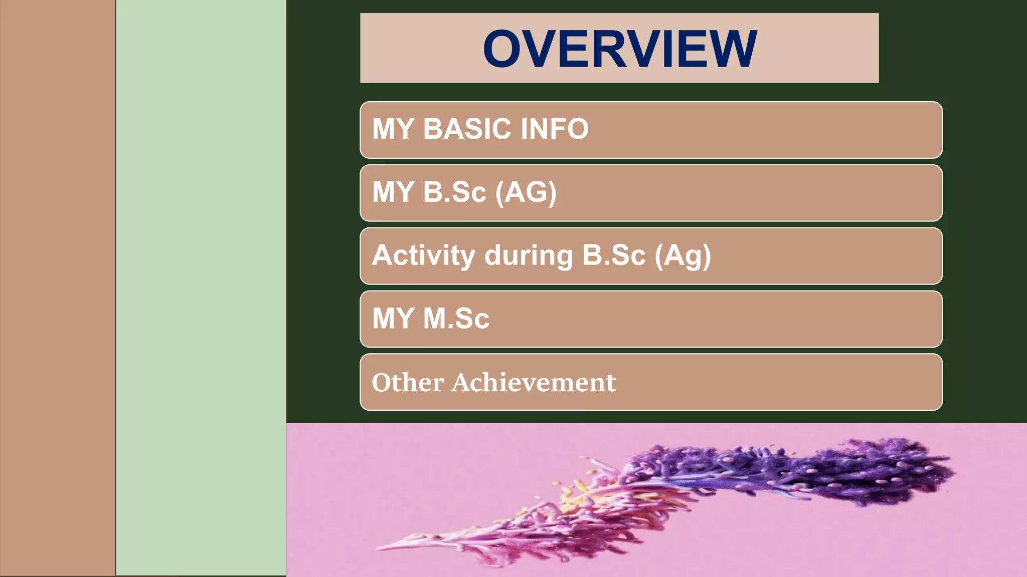 introduction throw ppt | PPT