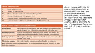 Presentation 55.pptx