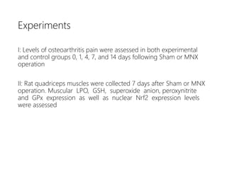 Daily sesame oil supplement attenuates joint pain by inhibiting ...