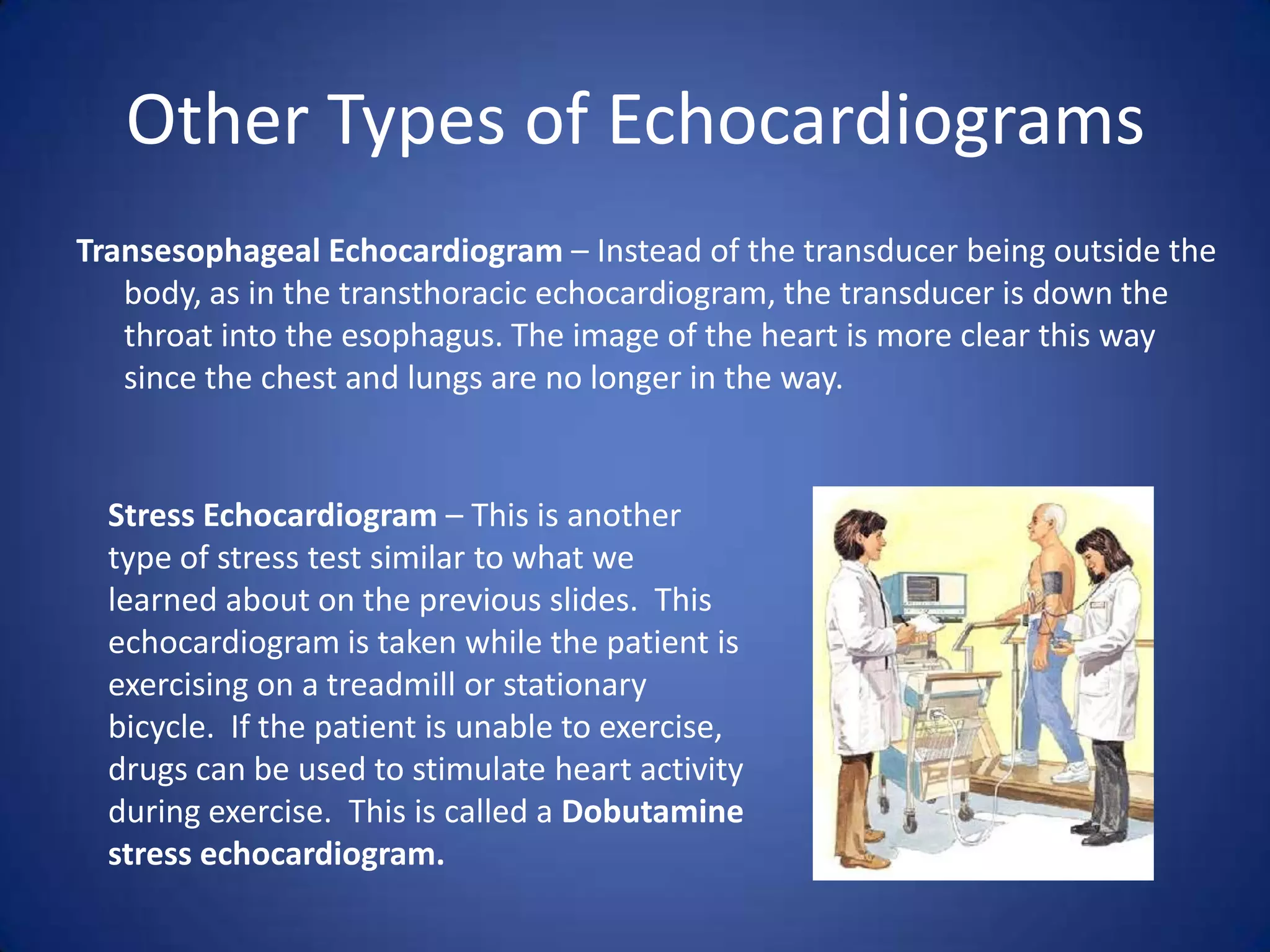 Presentation 5 cardiovascular system | PPTX