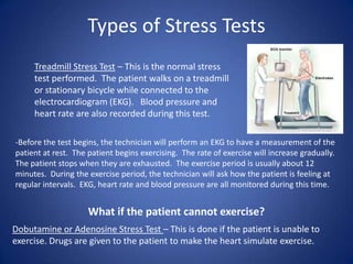 Presentation 5 cardiovascular system | PPTX