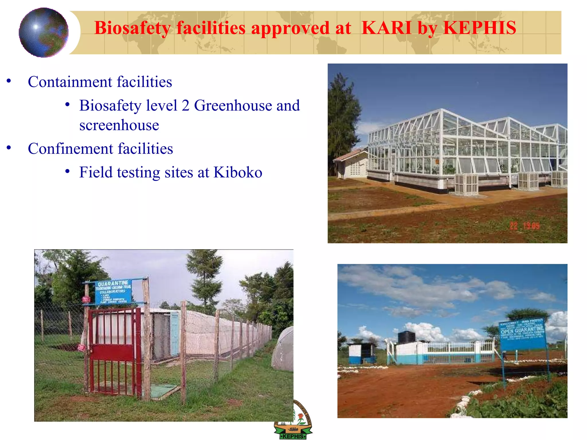 Implementing biosafety regulation: the role of KEPHIS | PPT