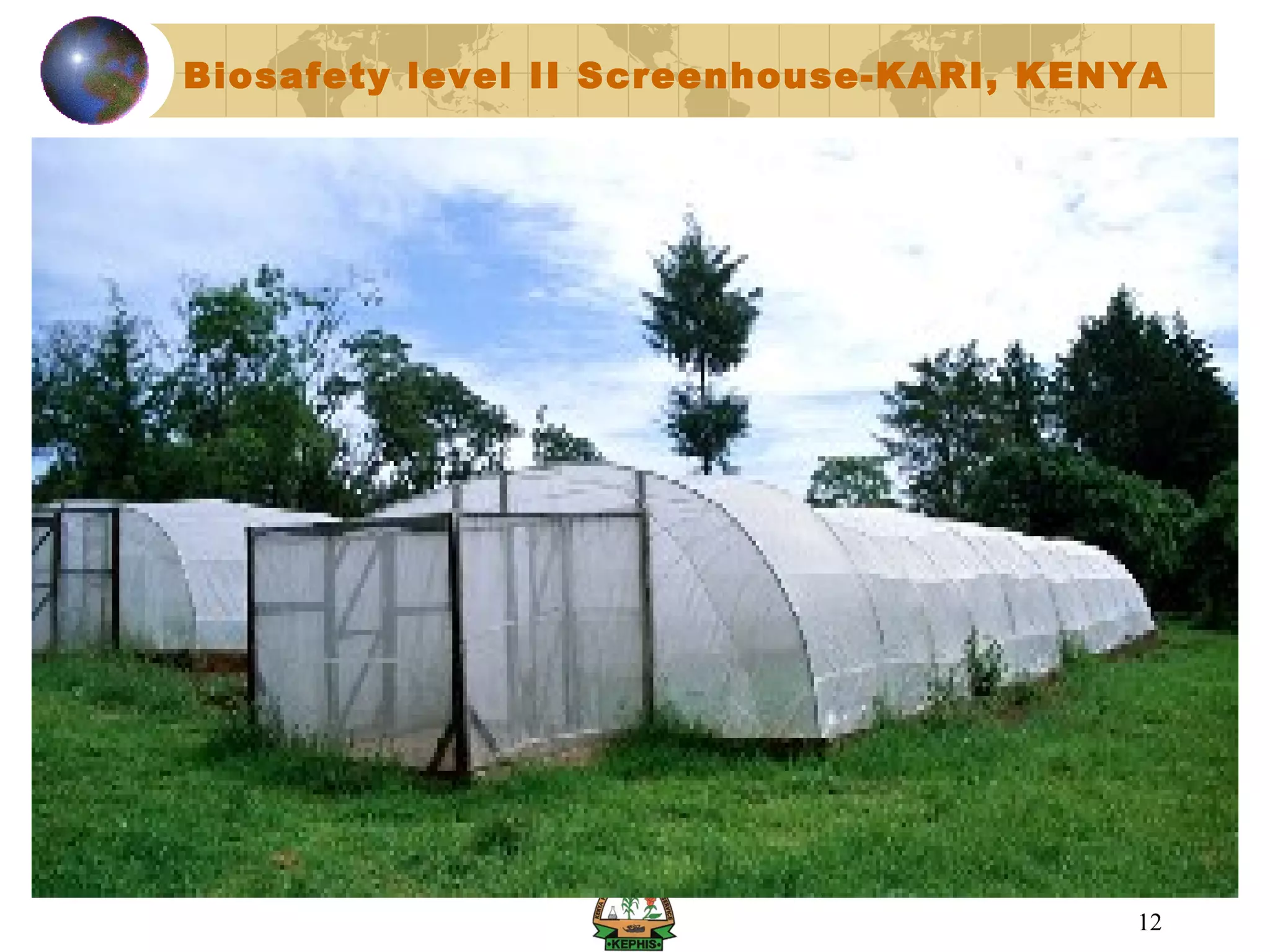 Implementing biosafety regulation: the role of KEPHIS | PPT