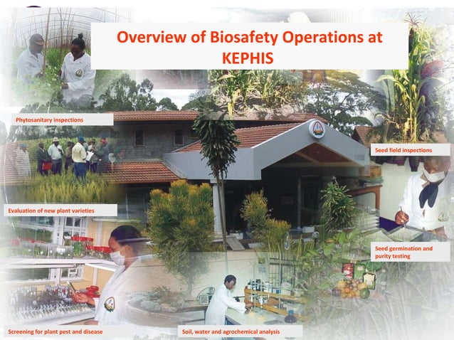 Implementing biosafety regulation: the role of KEPHIS | PPT