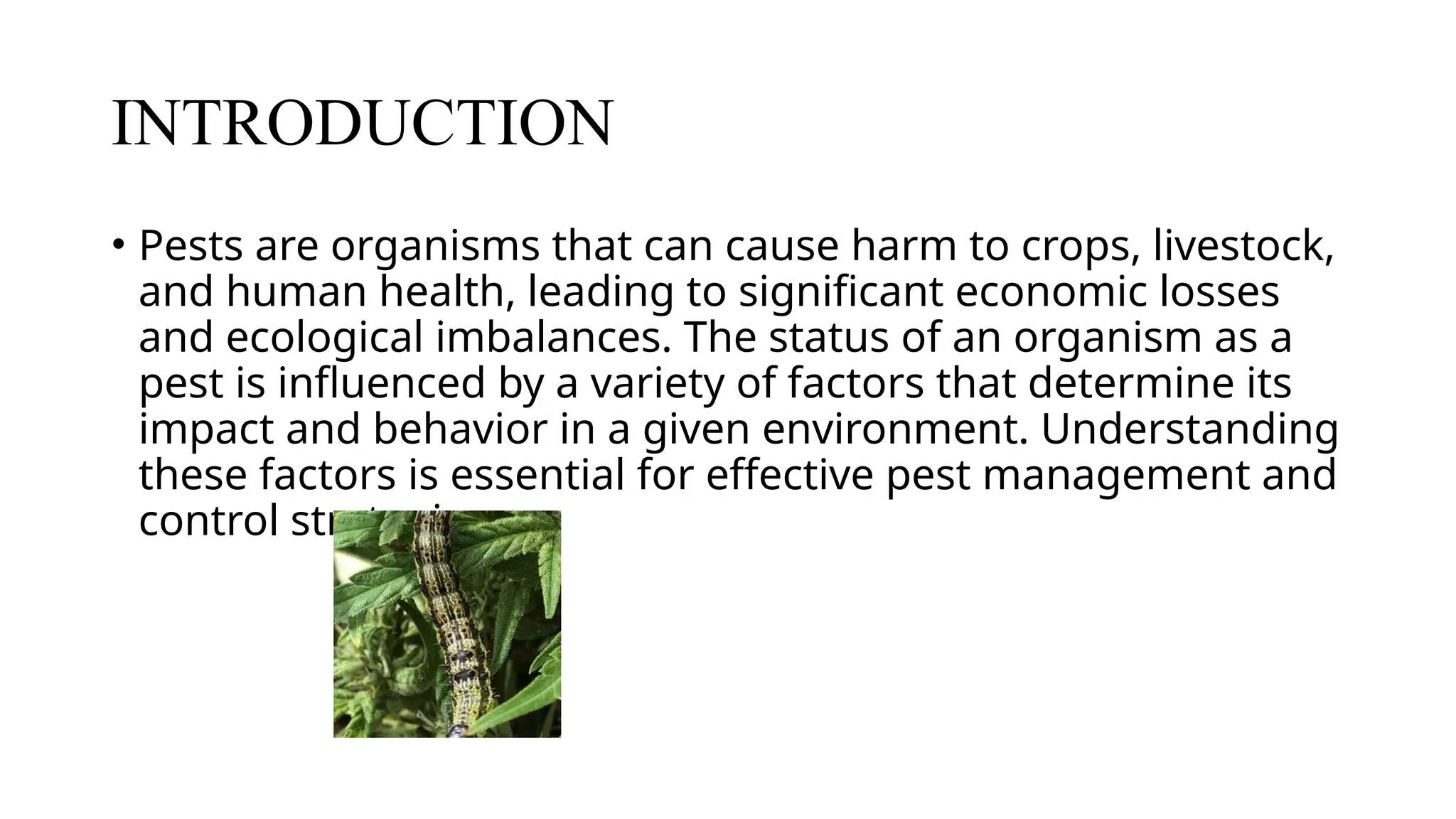 Biodivercity pest entomology introduction.pptx