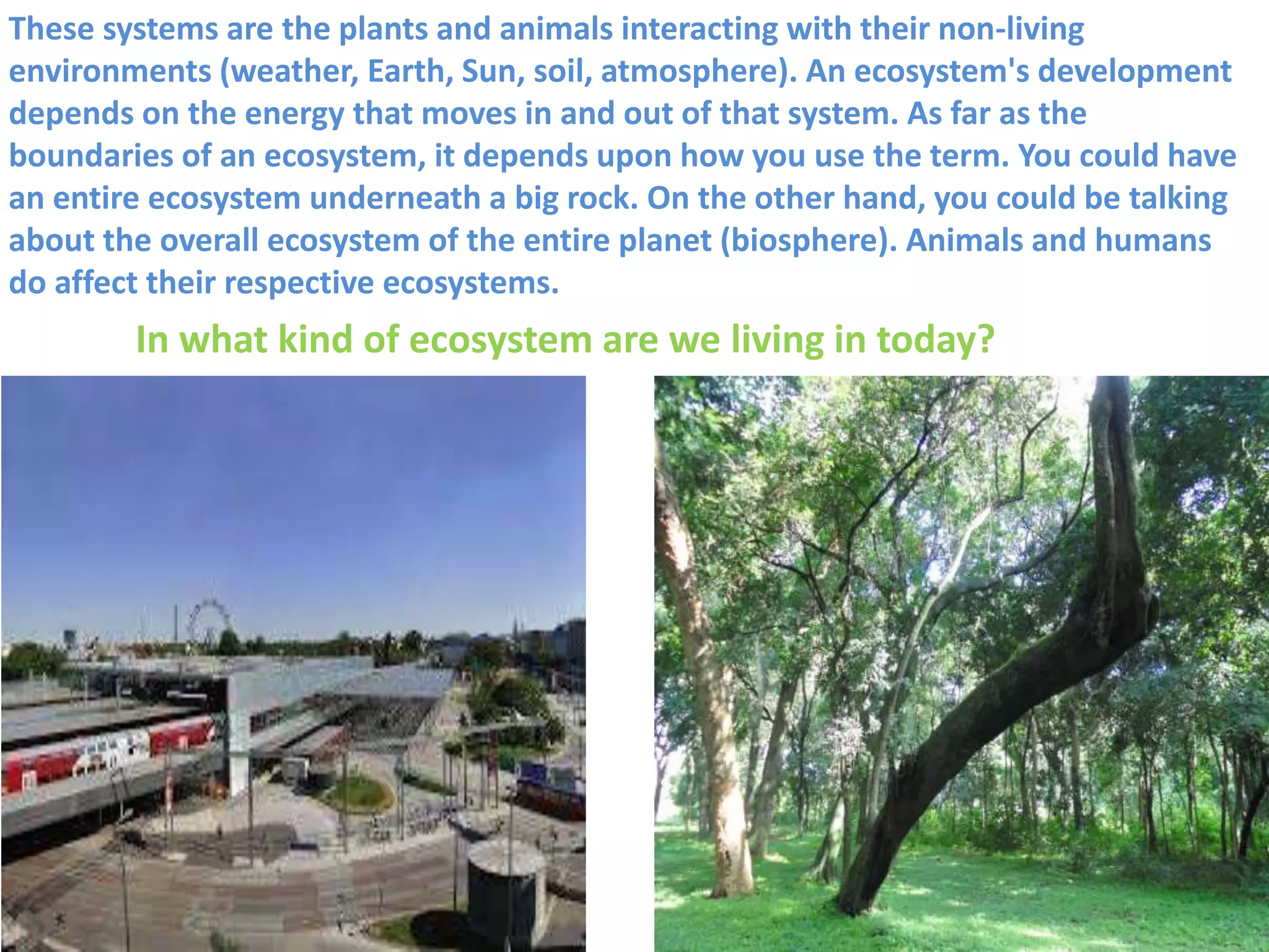 Ecosystems Science Kids | PPTX