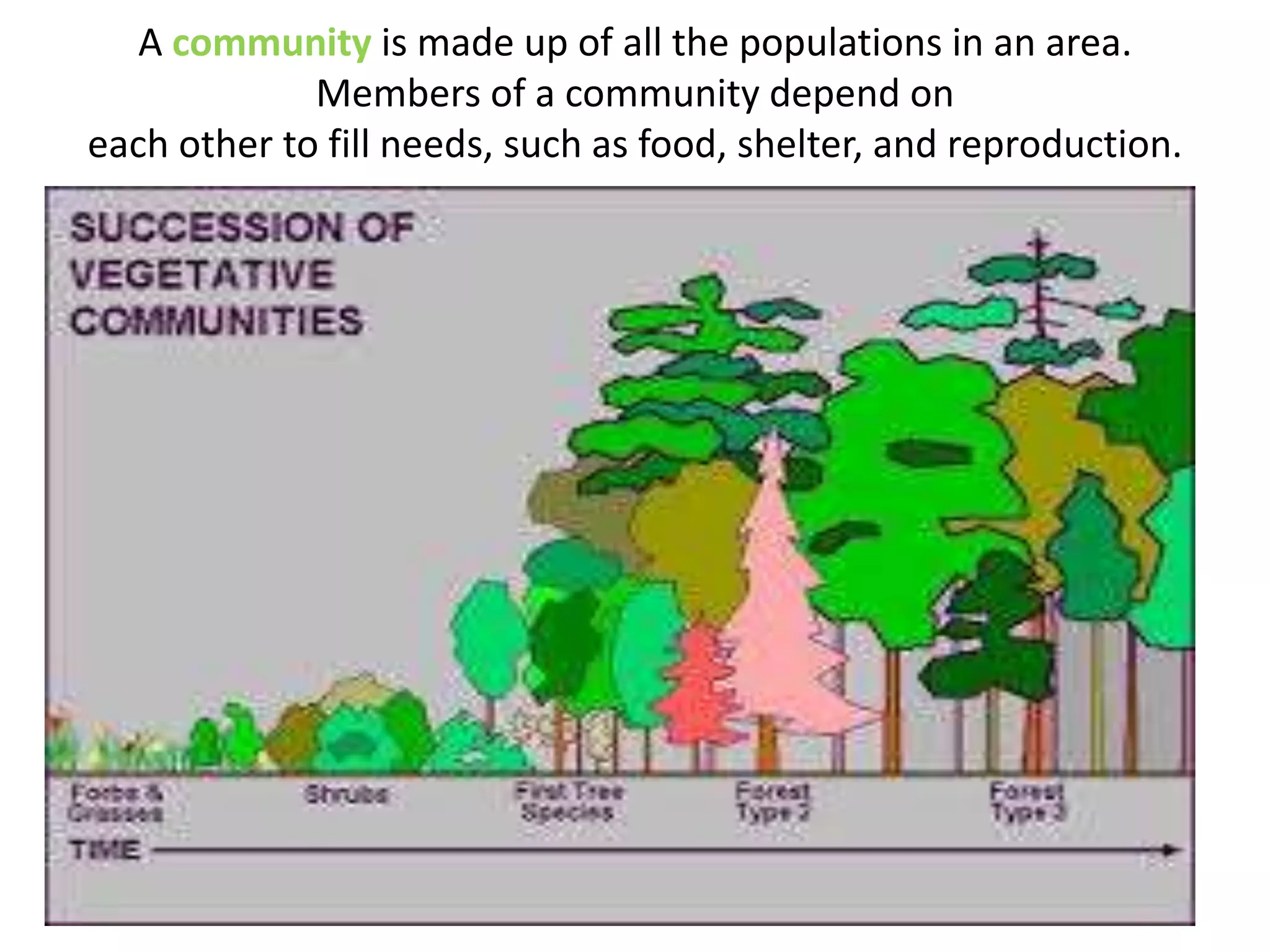 Ecosystems Science Kids | PPTX