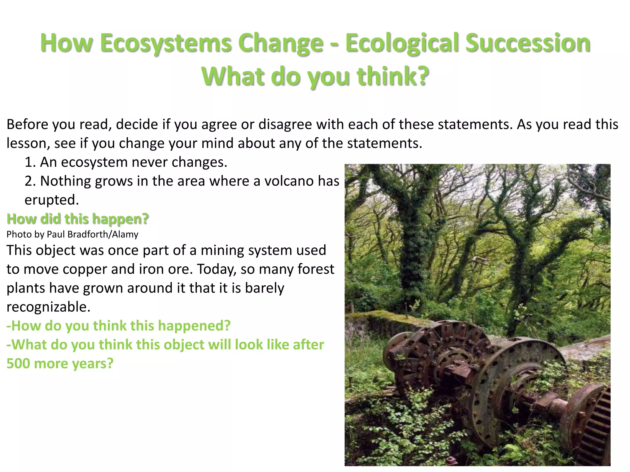 Ecosystems Science Kids | PPTX