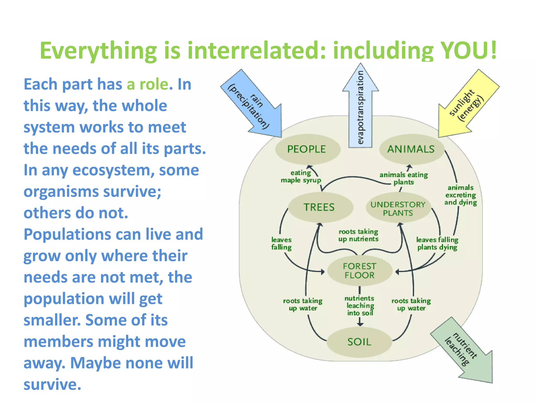 Ecosystems Science Kids | PPTX