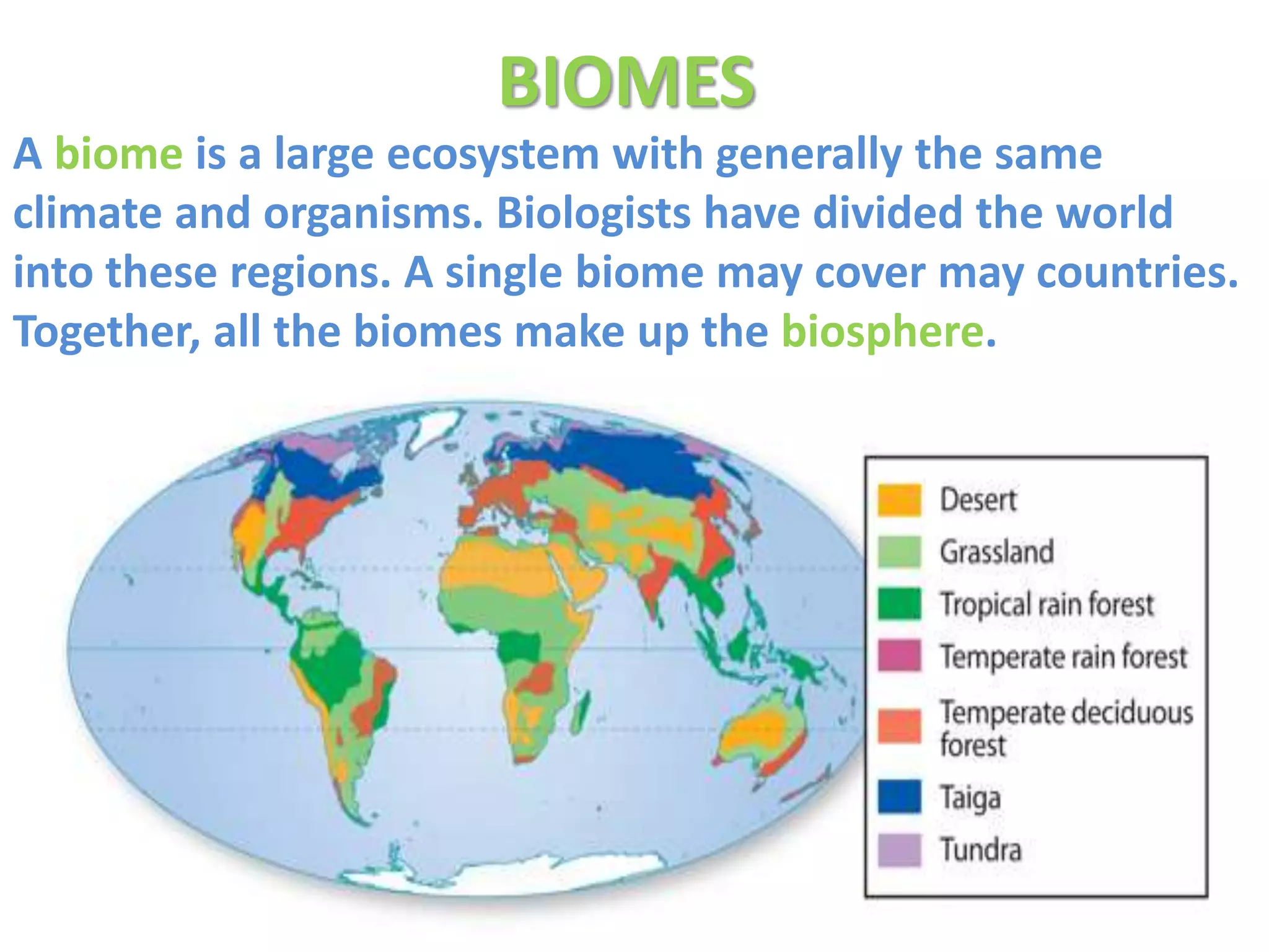 Ecosystems Science Kids | PPTX