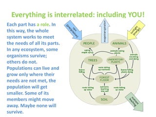 Ecosystems Science Kids | PPTX