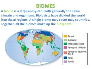 Ecosystems Science Kids | PPTX