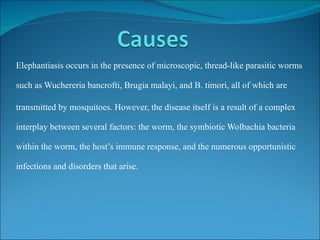 Presentation 6 | PPT