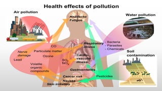 casestudy on pollution | PPTX