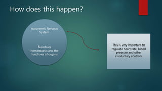 Fight or Flight Response | PPTX