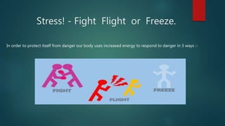 Fight or Flight Response | PPTX