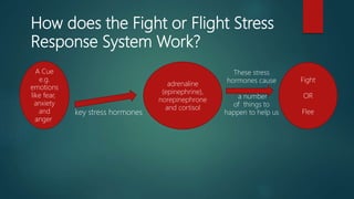 Fight or Flight Response | PPTX