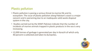 Plastic Pollution and Pakistan | PPTX