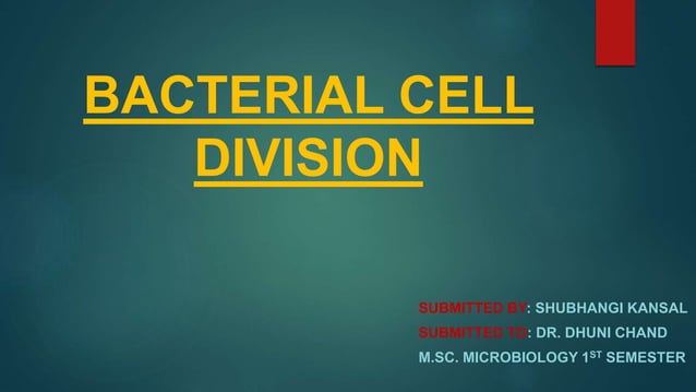 bacterial cell division | PPTX | Biological Sciences | Science