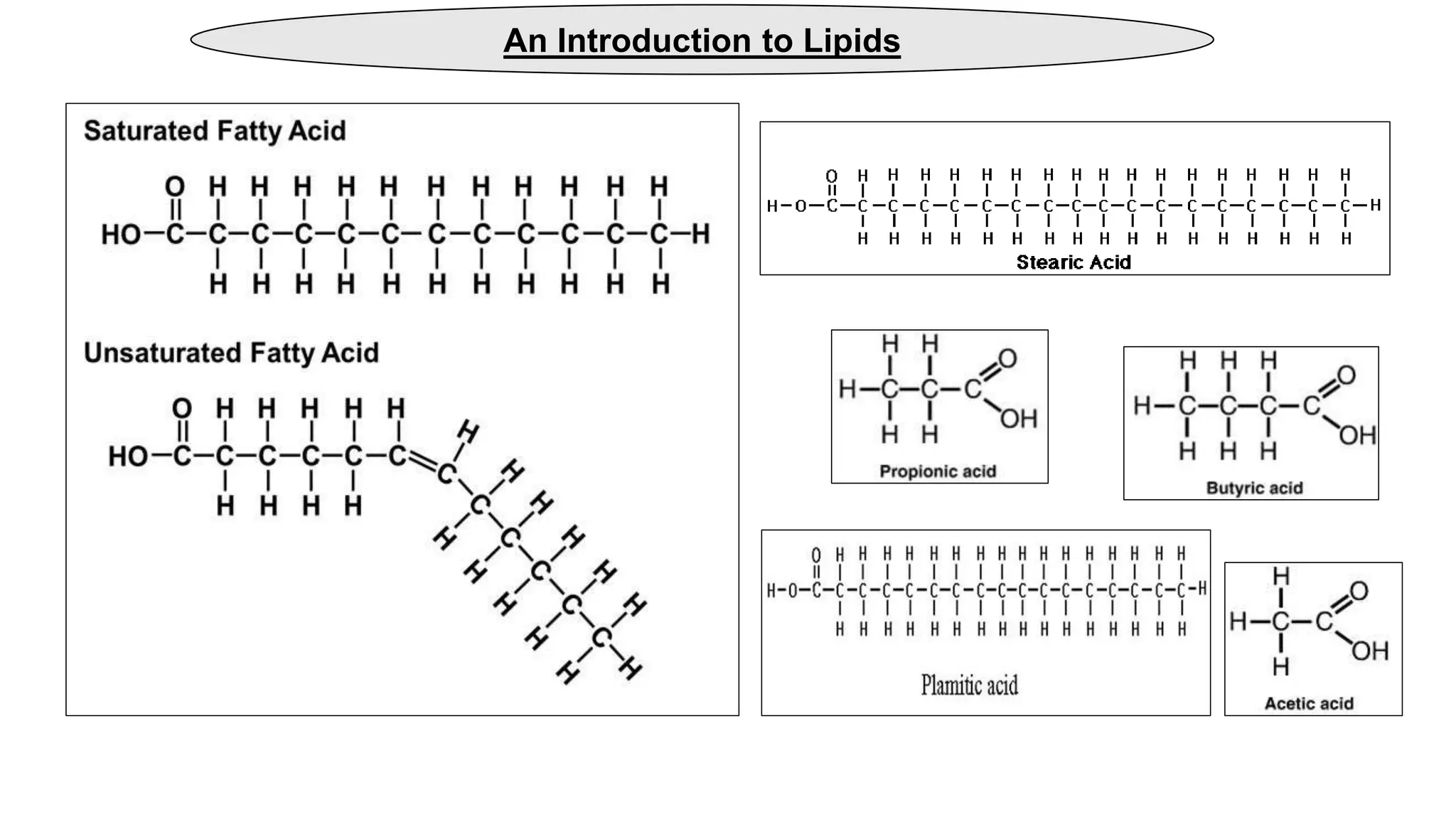 Cell Membranes and Lipids | PPT